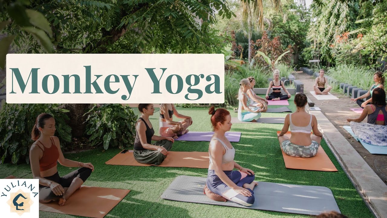 Monkey yoga from Zanzibar🧘🏻‍♀️💫 - YouTube