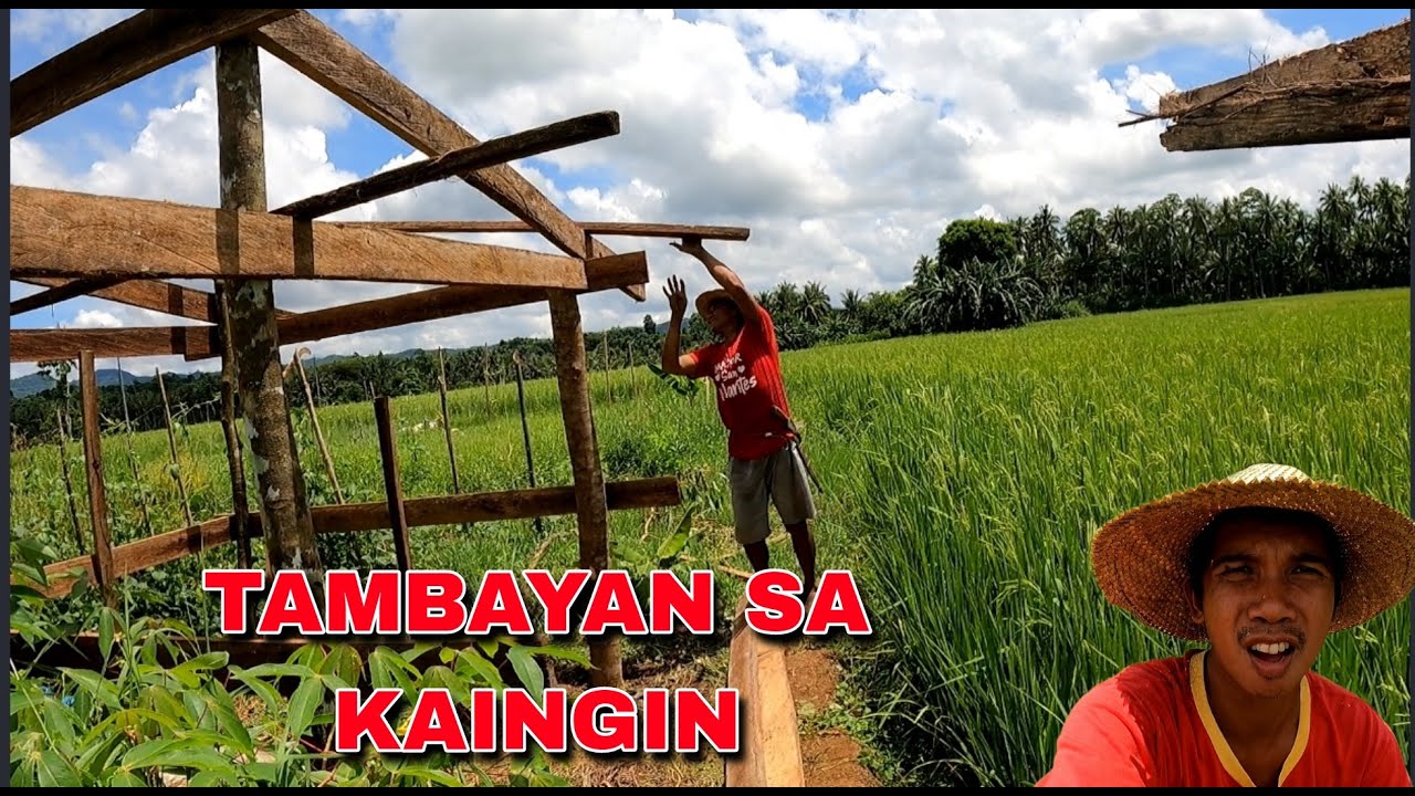 TAMBAYAN SA KAINGIN - YouTube