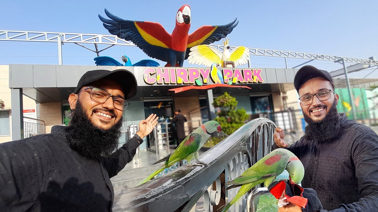 Chirpy park bahria town karachi - Chirpy park 🦜 full review (Fahad ...
