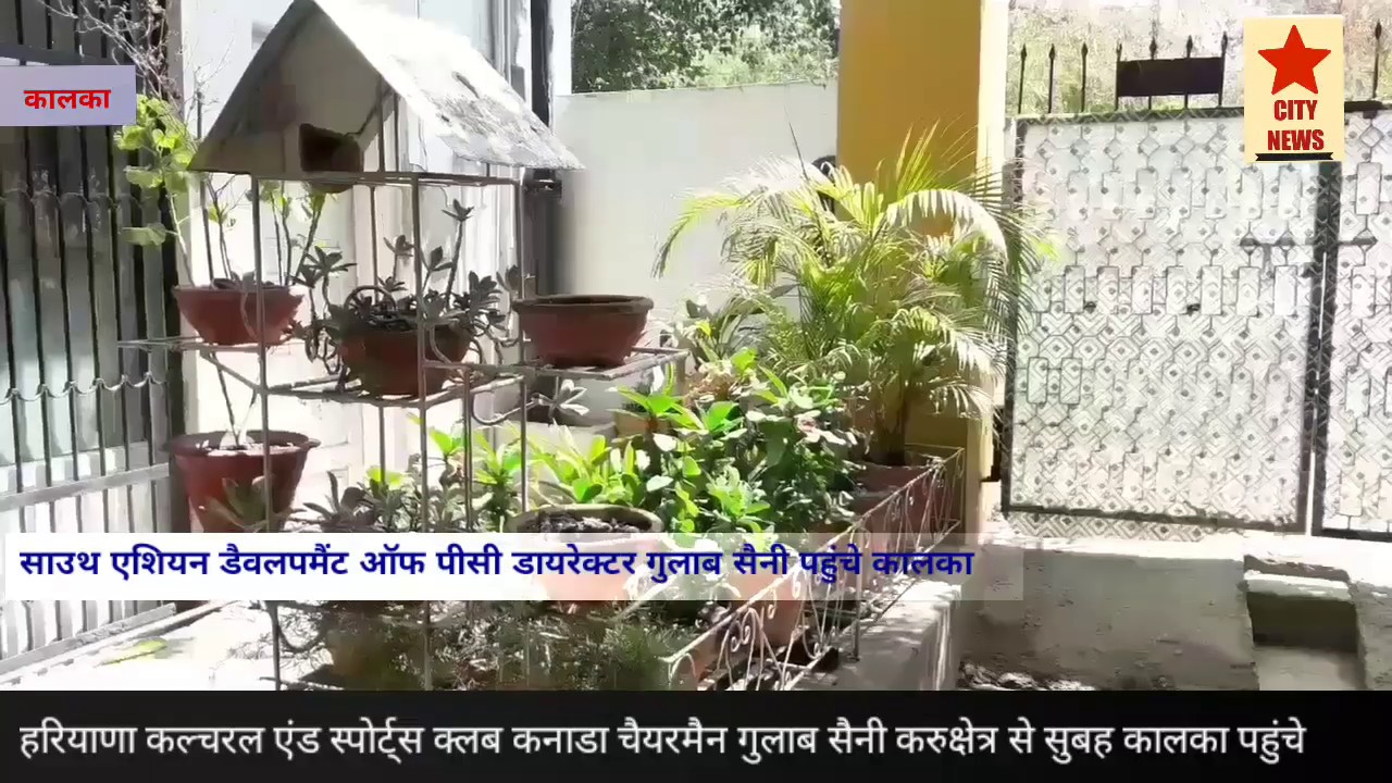 King Maker Of Canada Gulab Saini In Kalka City. किंग मेकर ऑफ कनाडा ...