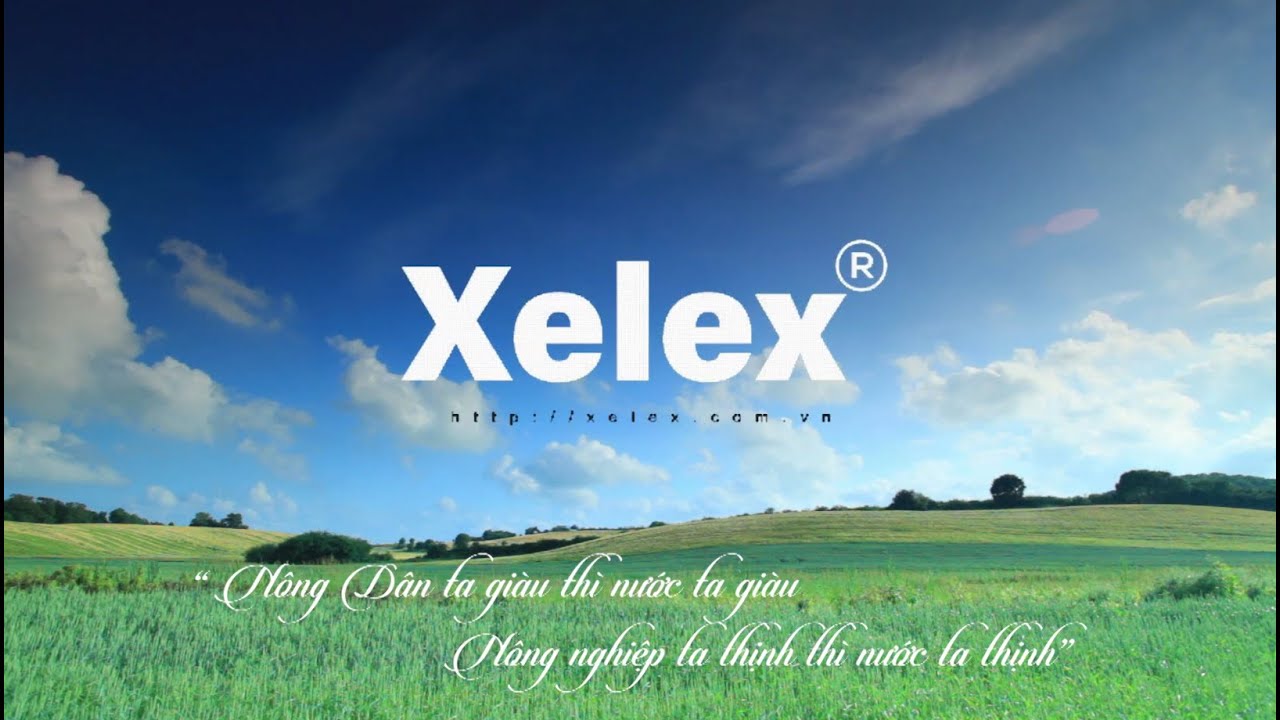 Giới thiệu máy tính bảng Xelex - YouTube