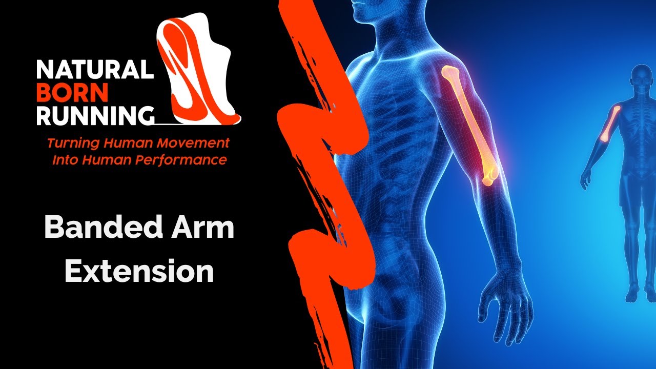 Banded Arm Extension - Gain More Access To Your Powerful Arms When ...
