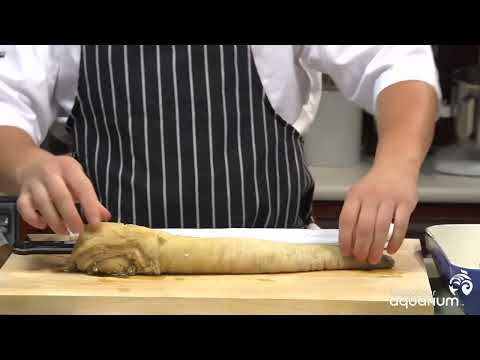 From Shell to Sashimi: The Easiest 'Gooey Duck' Recipe - Smartscience.blog