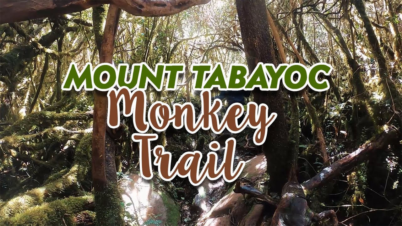 Exploring Mt. Tabayoc the 2nd highest Mountain in Luzon | DIY - YouTube