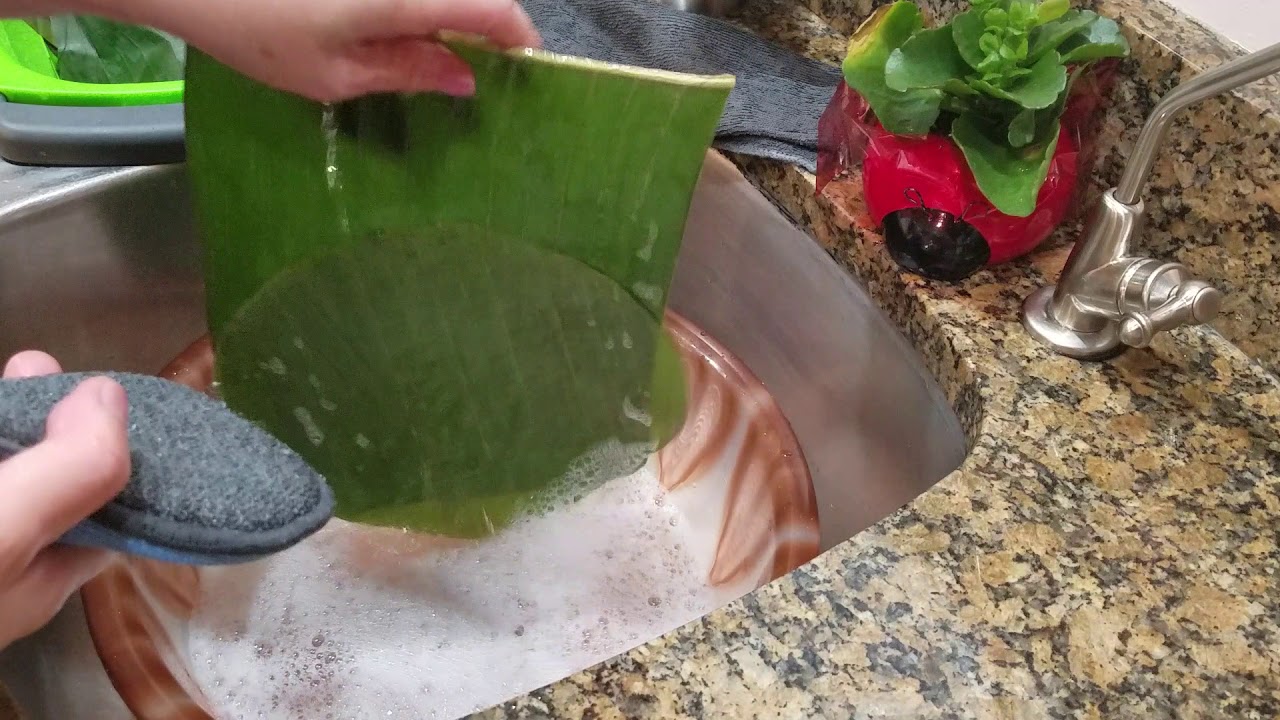 How To Wash Your Banana Leaves Before Use - YouTube