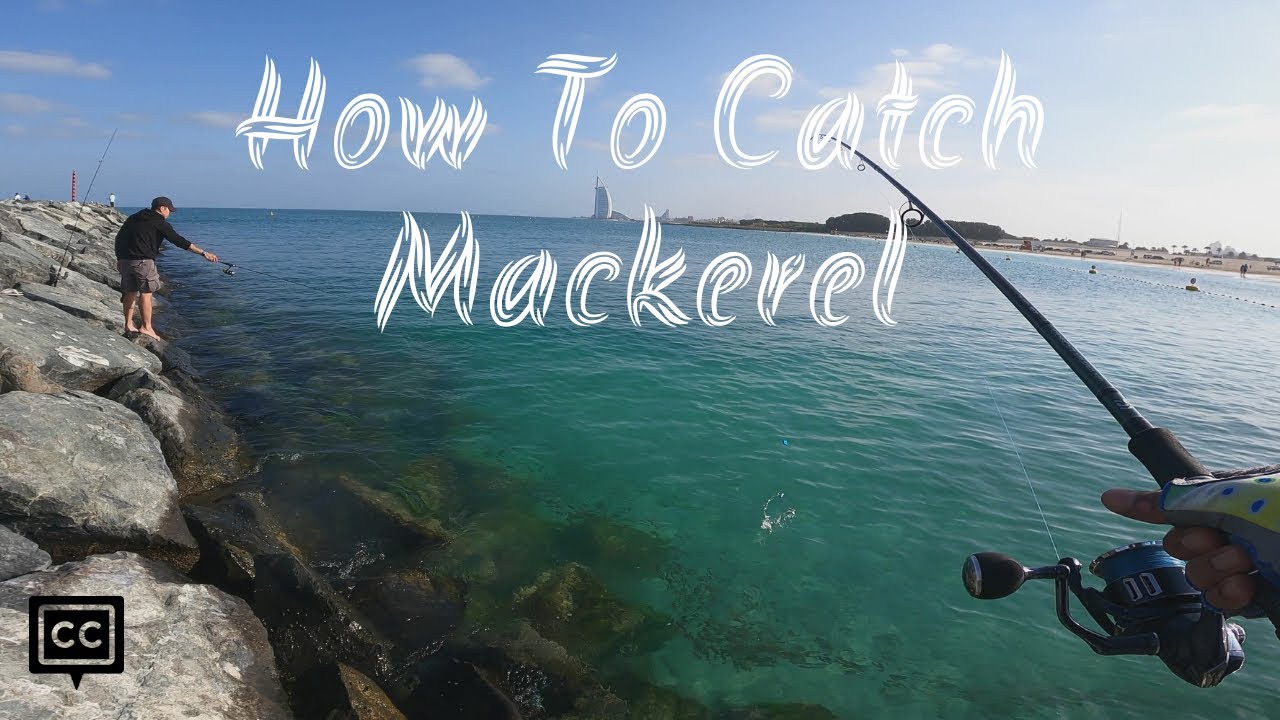 How To Catch Lots Of Fish | Technique For Mackerel (മലയാളം) - YouTube