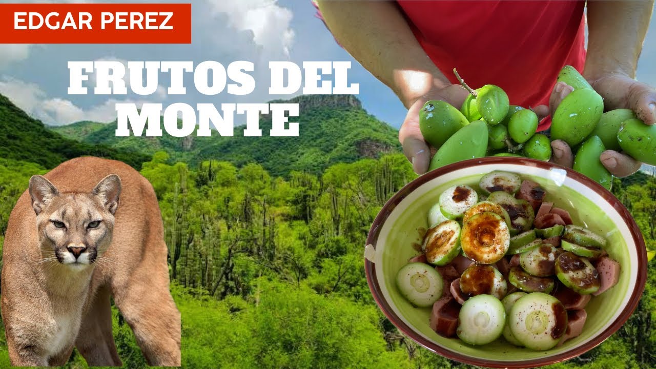 Estos son los FAMOSOS TALAYOTES O TORAGUIS Y asi los PREPARANOS ...