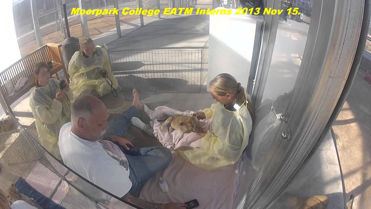 Moorpark College EATM Interns 11-15-2013 - YouTube