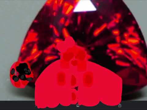 JSAB Red garnet Vore Black Garnet sister vore brother