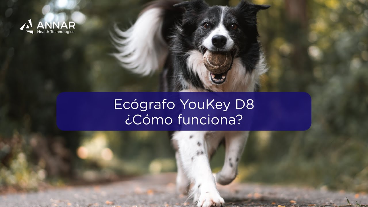 Ecógrafo YouKey D8 - YouTube