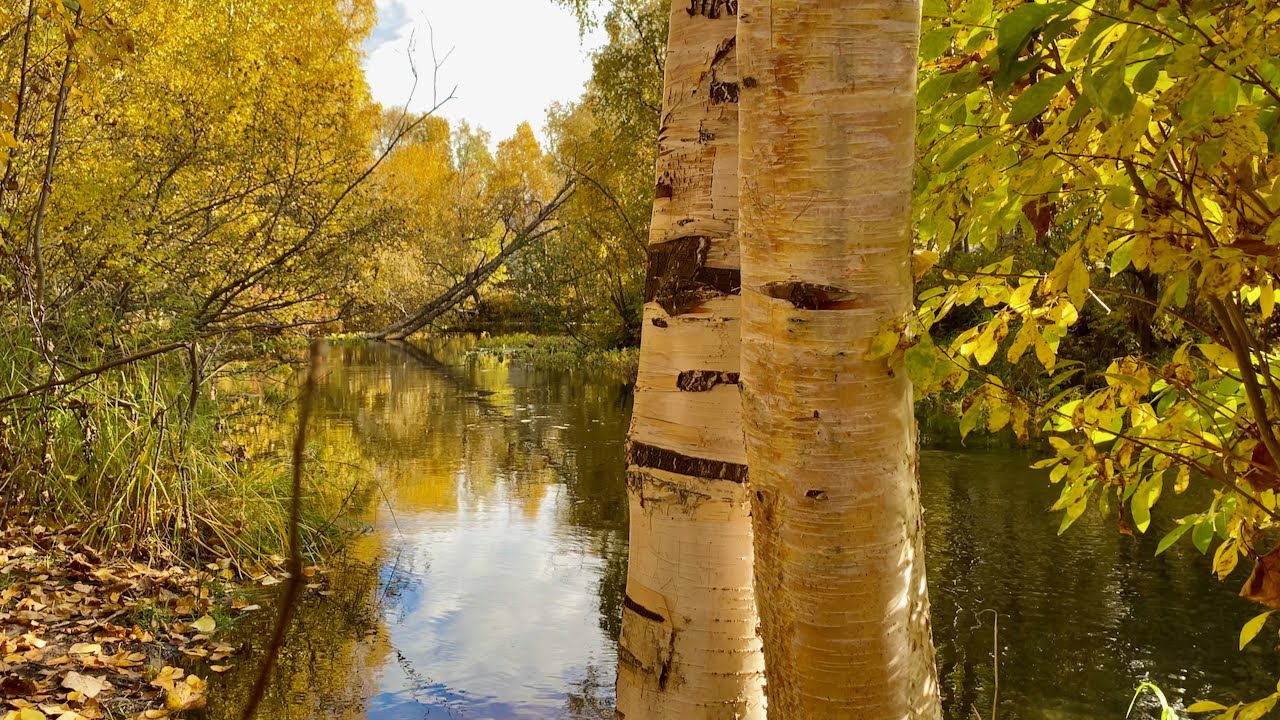 Equinox: Sunny Fall Day in Alaska - YouTube