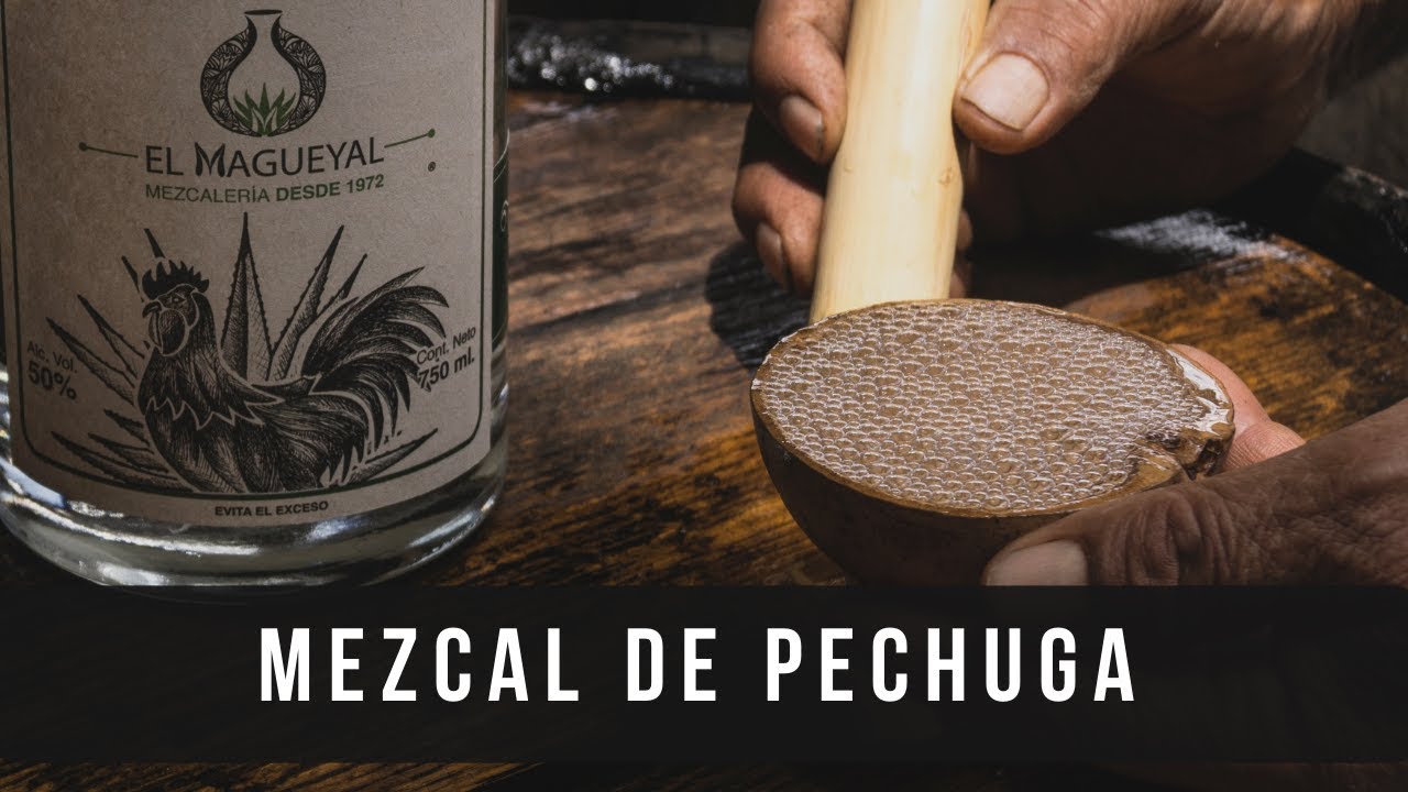El Mezcal más místico, El mezcal de Pechuga; ¿Cómo se Hace? ¿A qué sabe ...