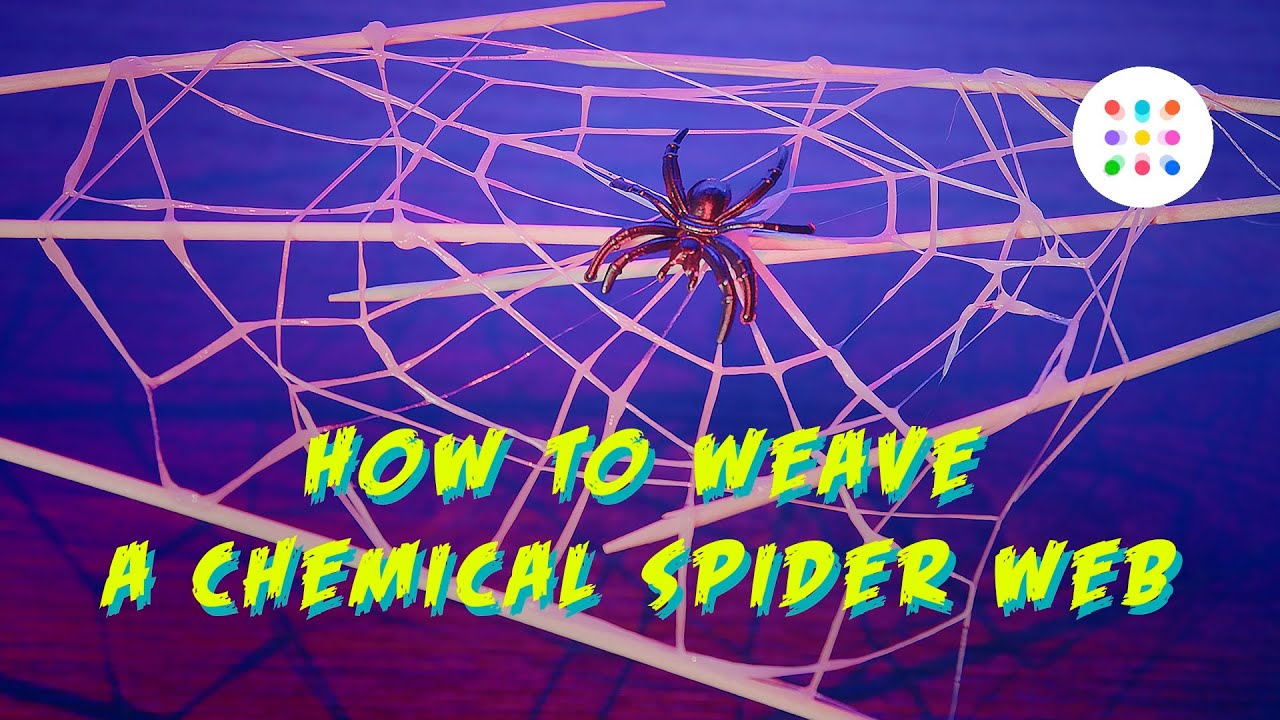 How to weave a chemical spider web - YouTube