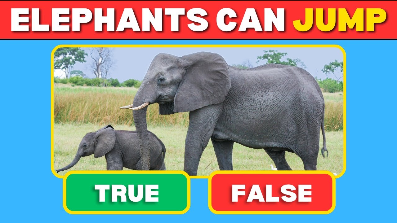 True or False? 50 Fun Animal Facts Quiz! Can You Get Them All Right ...