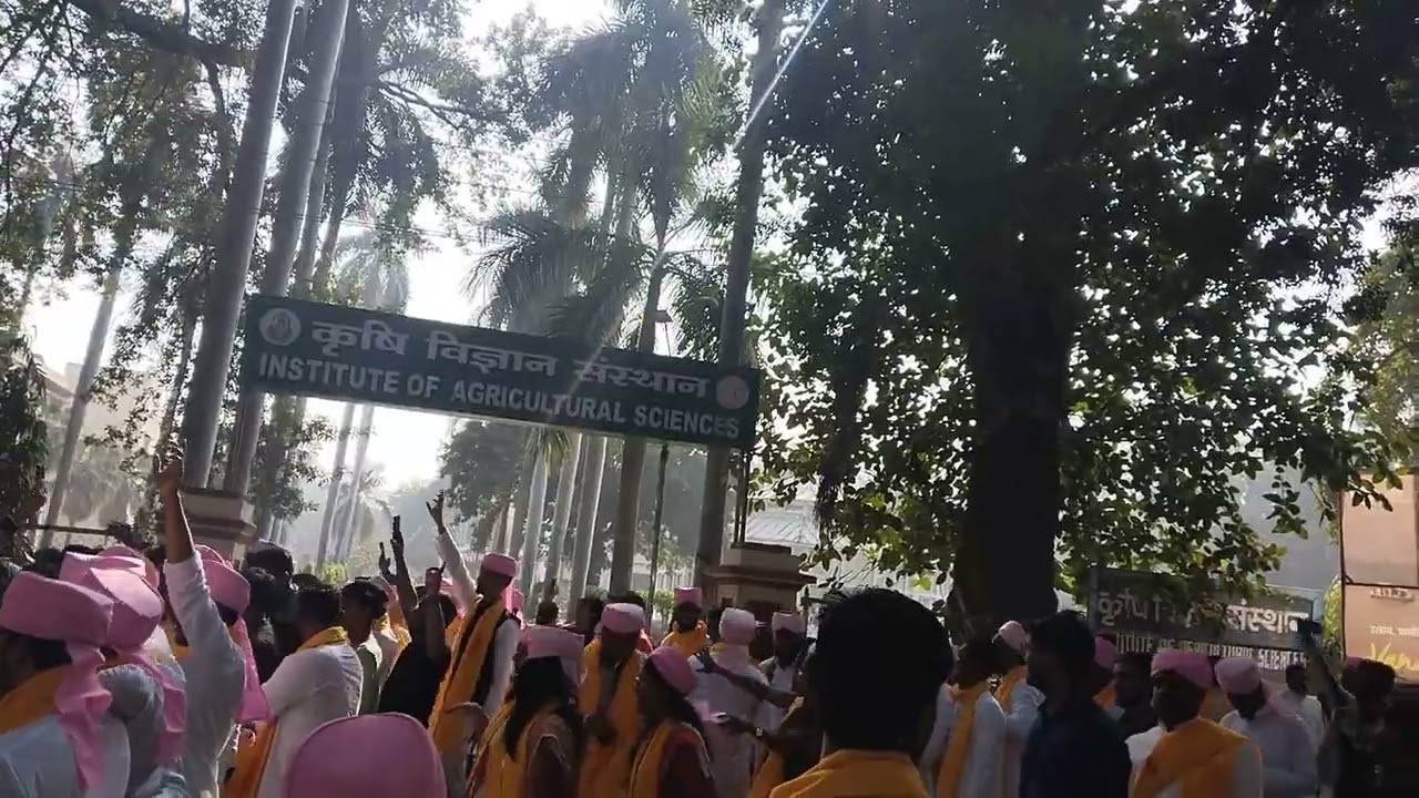 BANARAS HINDU UNIVERSITY AFTER CONVOCATION BHU CONVOCATION DANCE AFTER ...