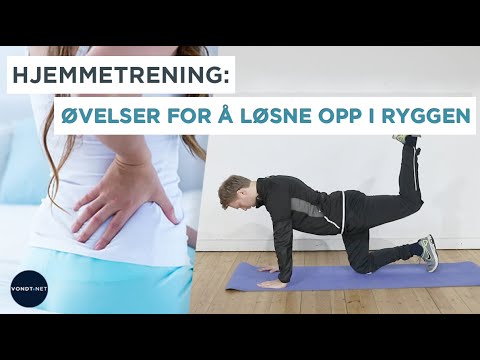 hjemmetrening-velser-for-l-sne-opp-i-ryggen-youtube