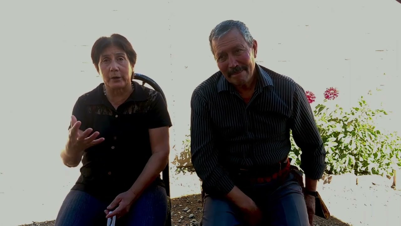 Corazón Adentro El sosneado - YouTube