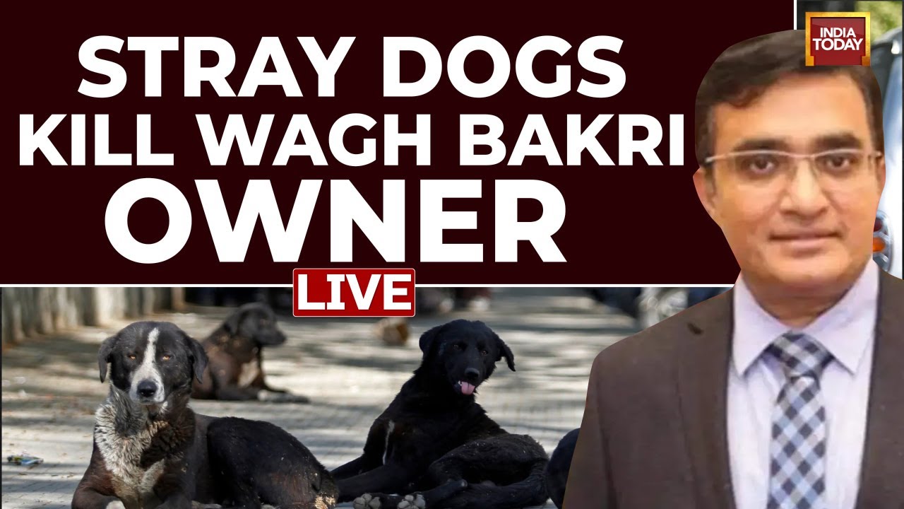 Wagh Bakri Owner Death: Dies Of Brain Haemorrhage, Fell While Escaping ...