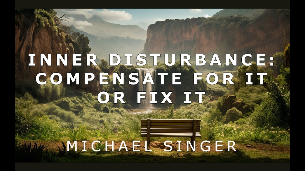 Michael Singer - Inner Disturbance - Compensate for It or Fix It - YouTube