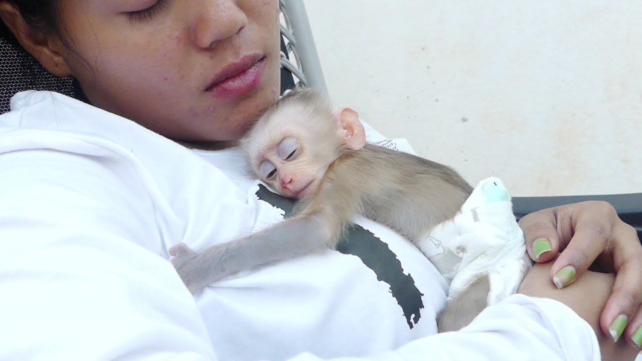 Super Cute Baby Hugging Mom Warmest !! Smart Baby Elan Sleep Well On ...