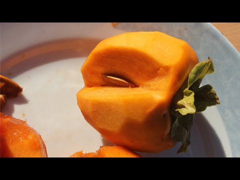 Trabzon hurması meyvemin neden çekirdeği yok