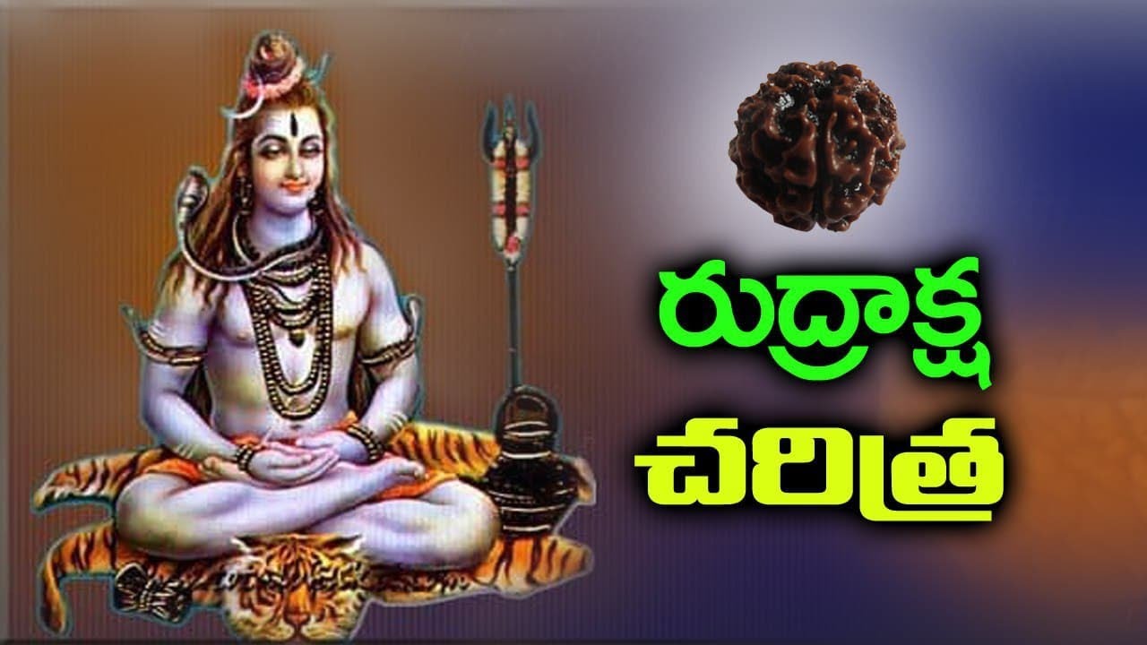 Unknown Facts About Rudraksha & Different Types of Rudraksha ...