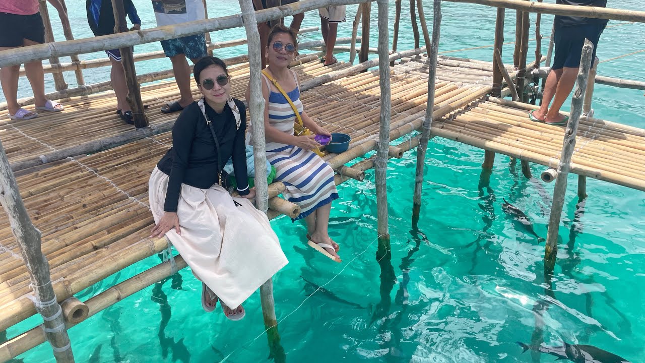 Juag Lagoon Fish Sanctuary - YouTube