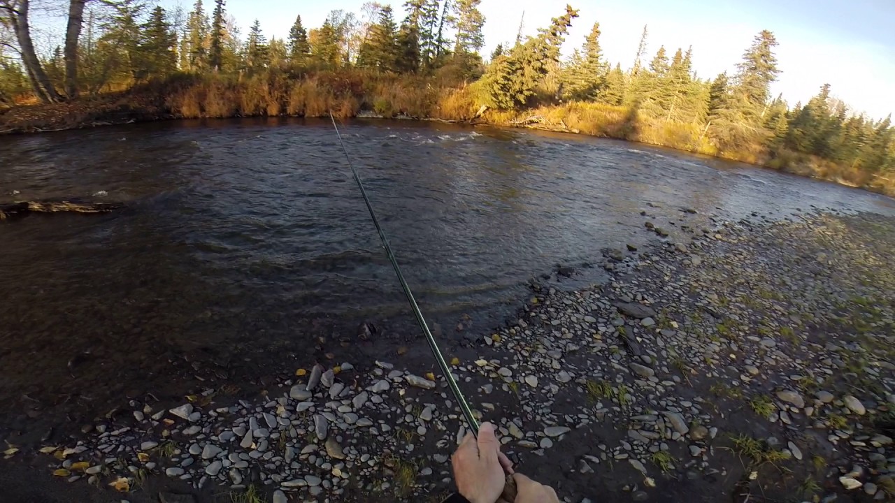 Deep Creek Alaska Steelhead - YouTube