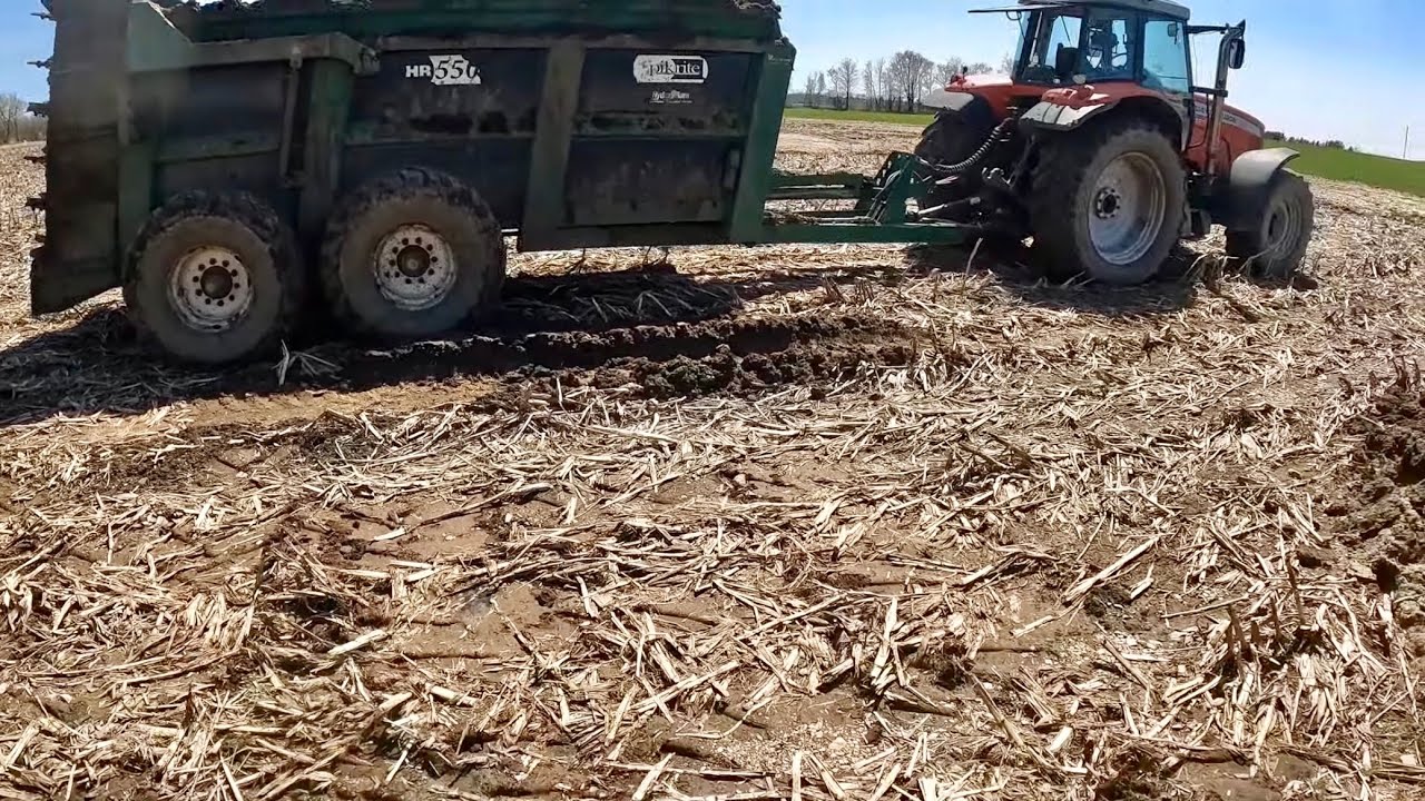 Spring spreading solid manure with the Pik Rite HR550 - YouTube