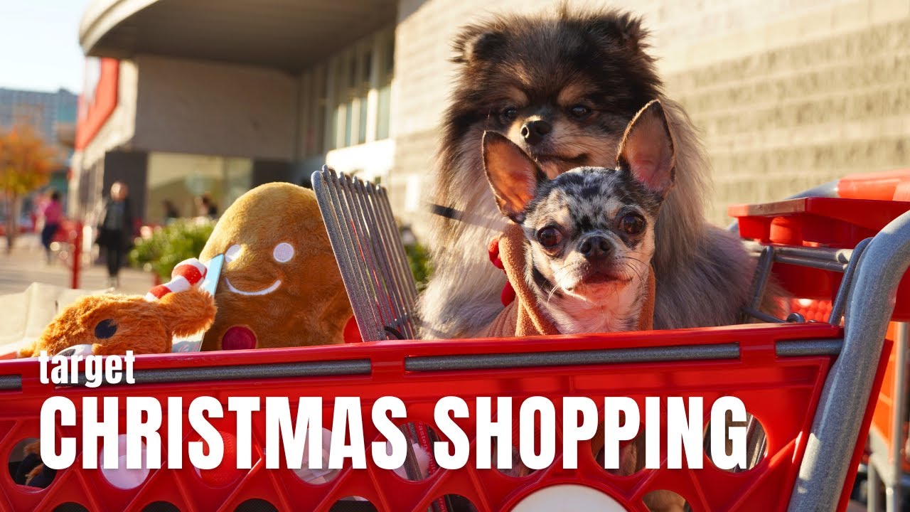 Target NYC Christmas Shopping With Our Dogs | Life in NYC - YouTube