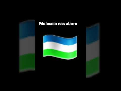 molossia - YouTube