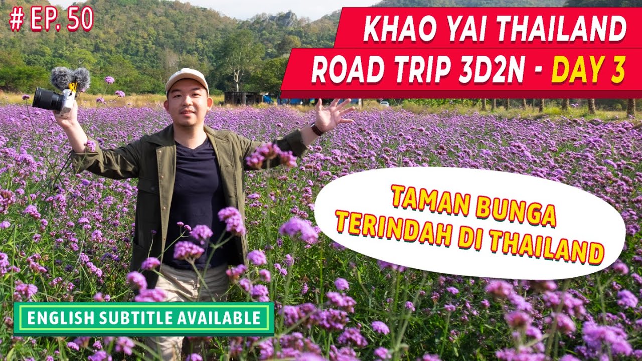 KHAO YAI ROAD TRIP 3D/2N DAY 3 - TAMAN BUNGA LAVENDER CANTIK THAILAND ...