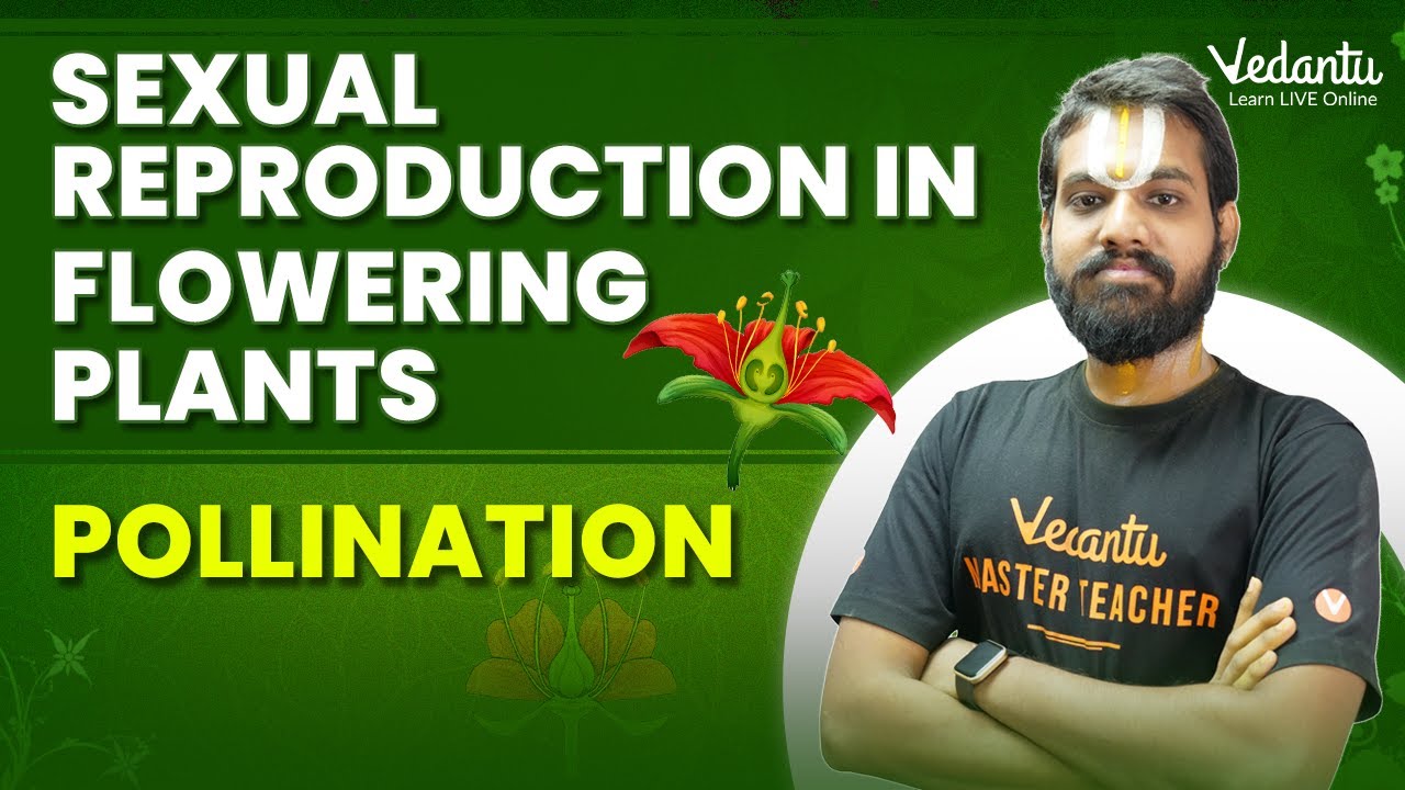 Pollination - Sexual Reproduction in Flowering Plants | Class 12 ...