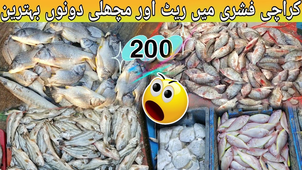 Biggest Wholesale Fresh Fish Market in Karachi | 2025 Today New Fish ...