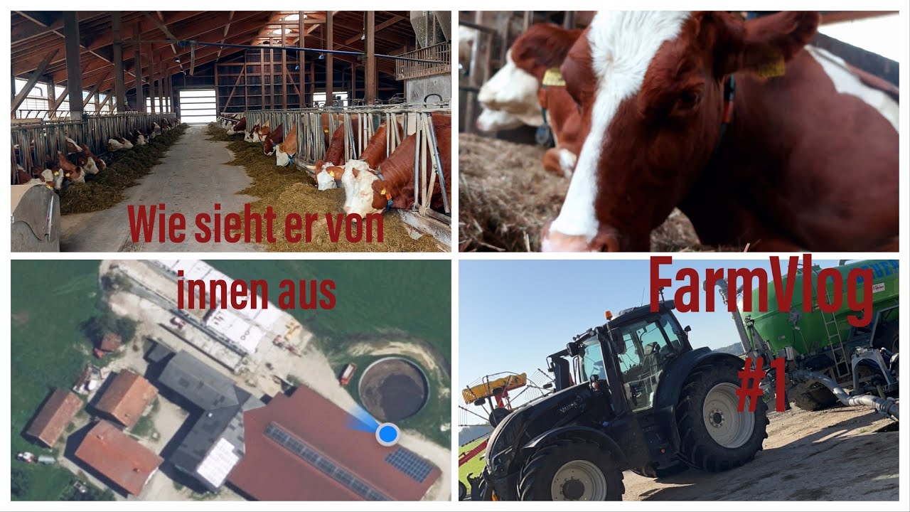 FarmVlog #1 Erste Einblicke in den neuen Stall mit Melkroboter und ...
