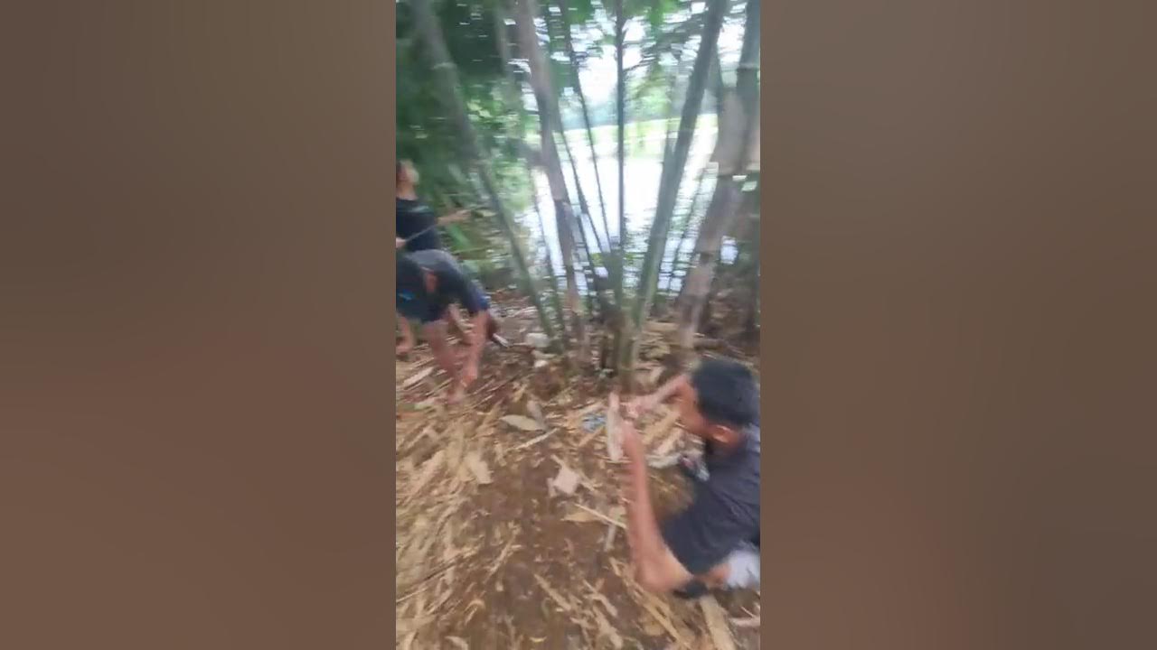 Bakul Indang Official sedang live sekarang! - YouTube