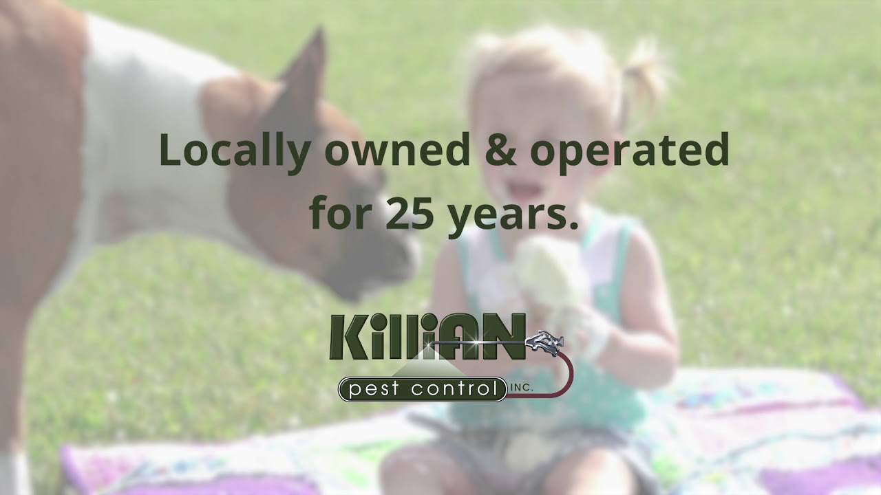 Killian Pest Control - Girl 5-18 - YouTube