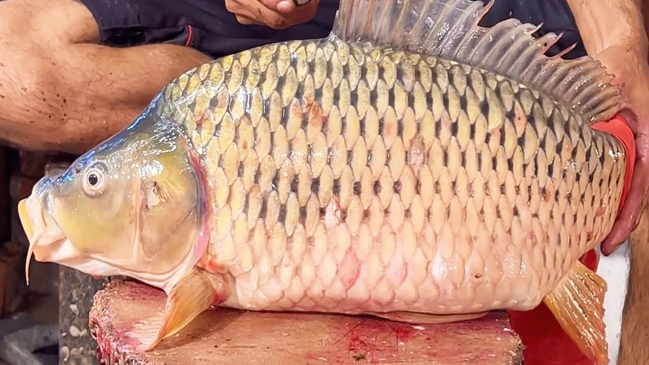 Big Carp Fish Cutting Skills Live in Fish Market | Amazing Fish Cutting ...