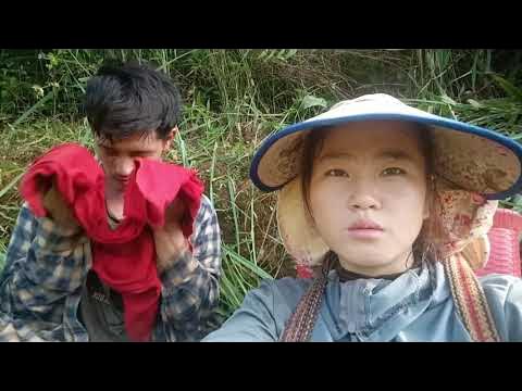 luaj teb ntoo yas 4.9.2023 - YouTube