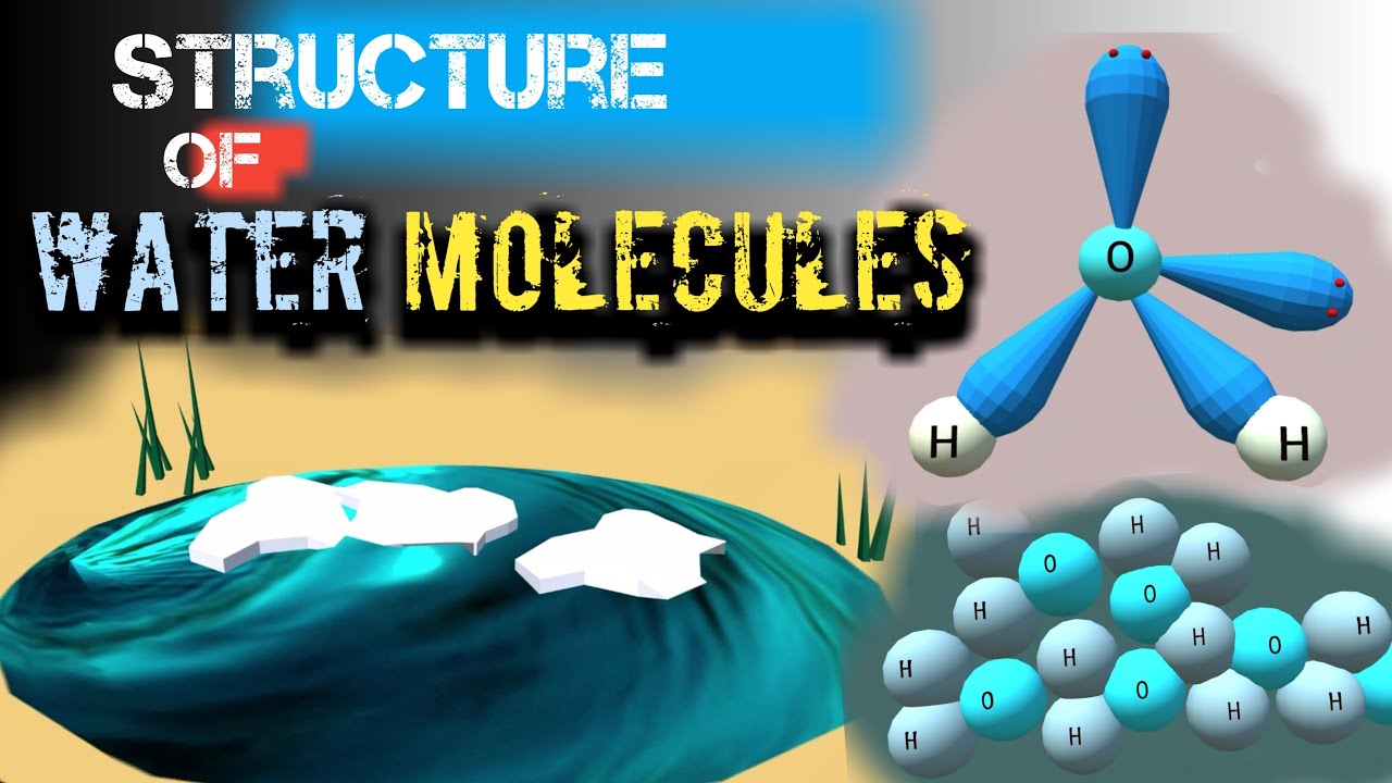 Structure of Water molecule|what is the state of water|liquid and gas ...