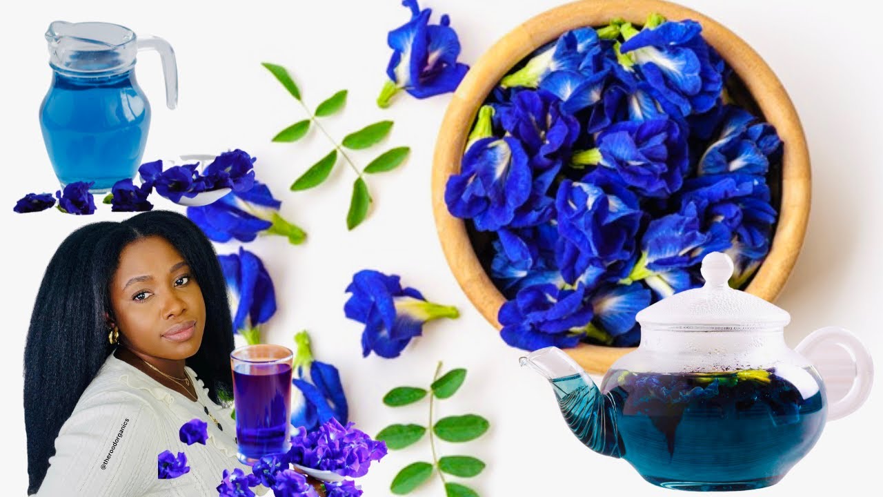 🌿#211. LE THÉ BLEU EST UN MIRACLE POUR TOUT! POUSSE | SANTÉ DU CORPS ...