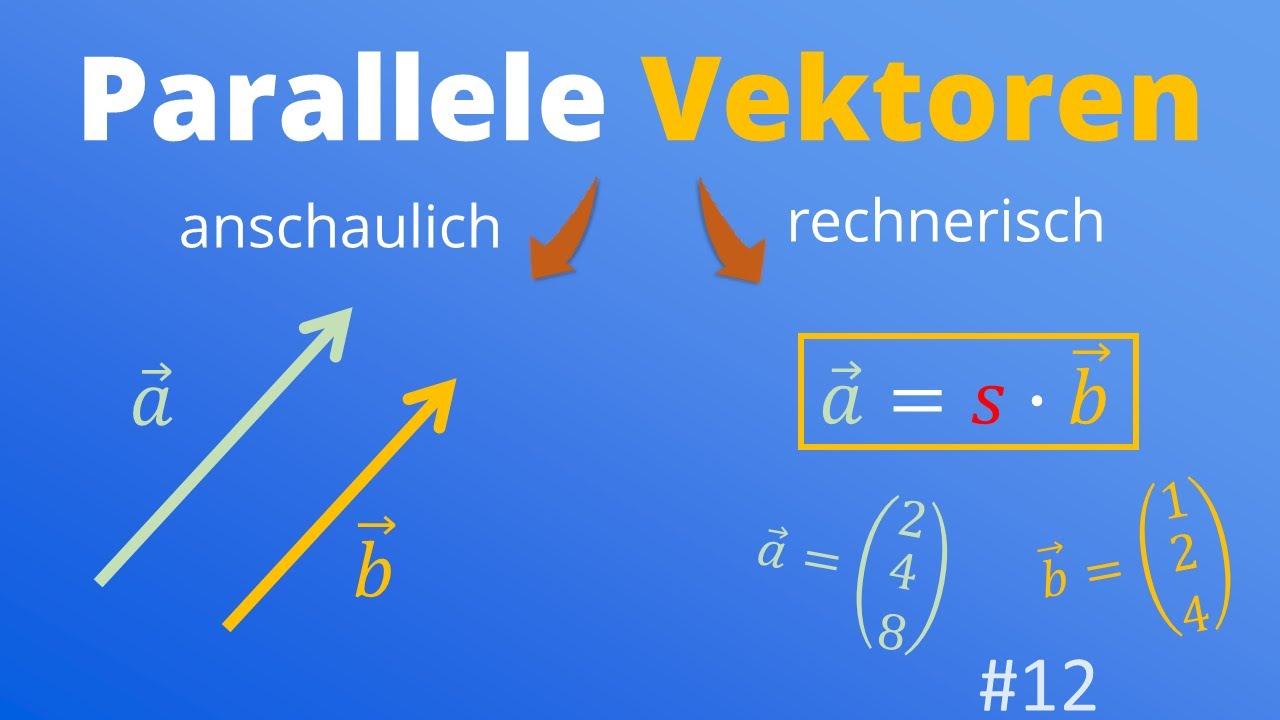 Kollineare, parallele und antiparallele Vektoren | anschaulich und ...