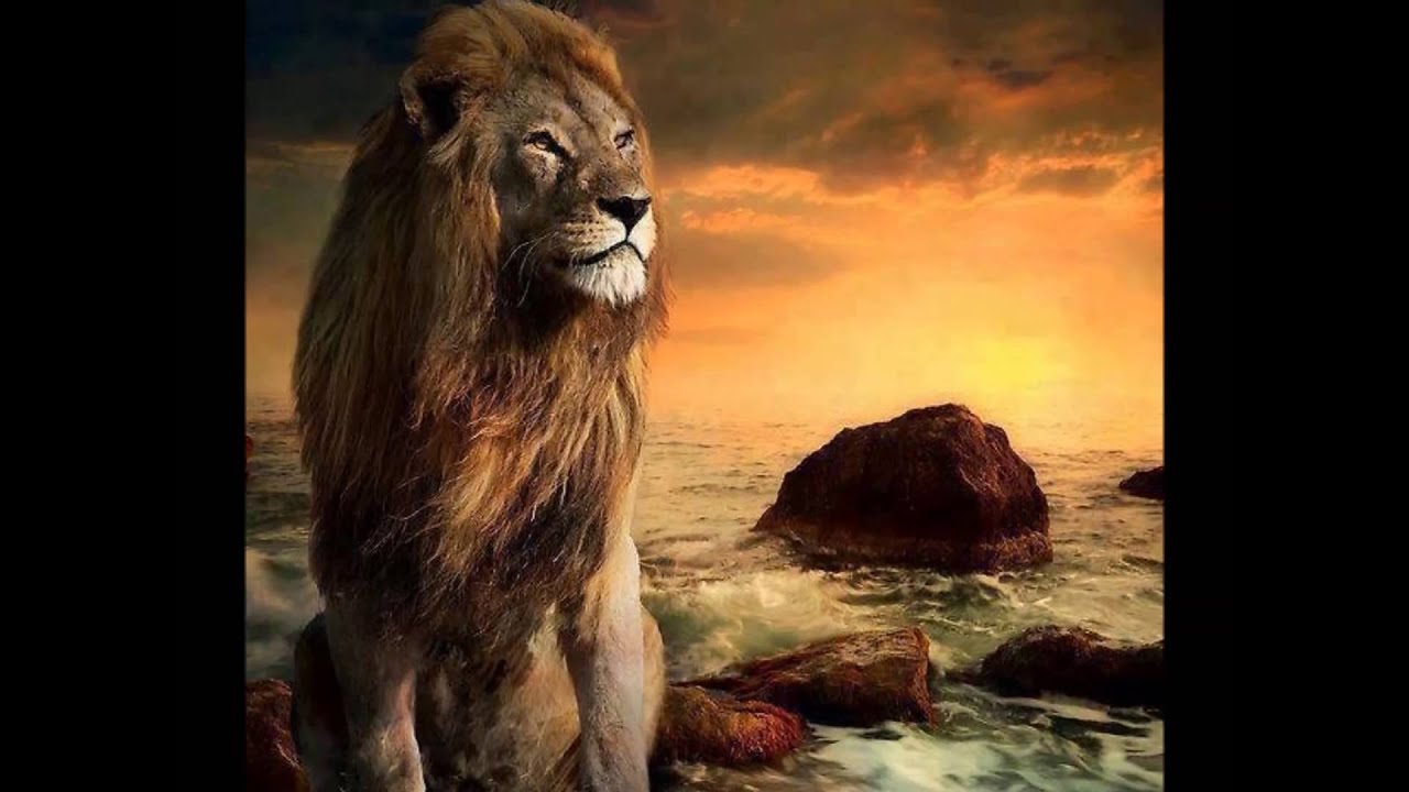 Jesus Kristus Video - YouTube