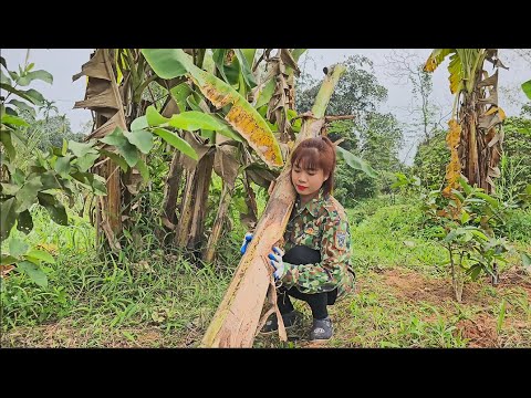 Daily work of a girl living alone on a farm. Taking care of crops and ...