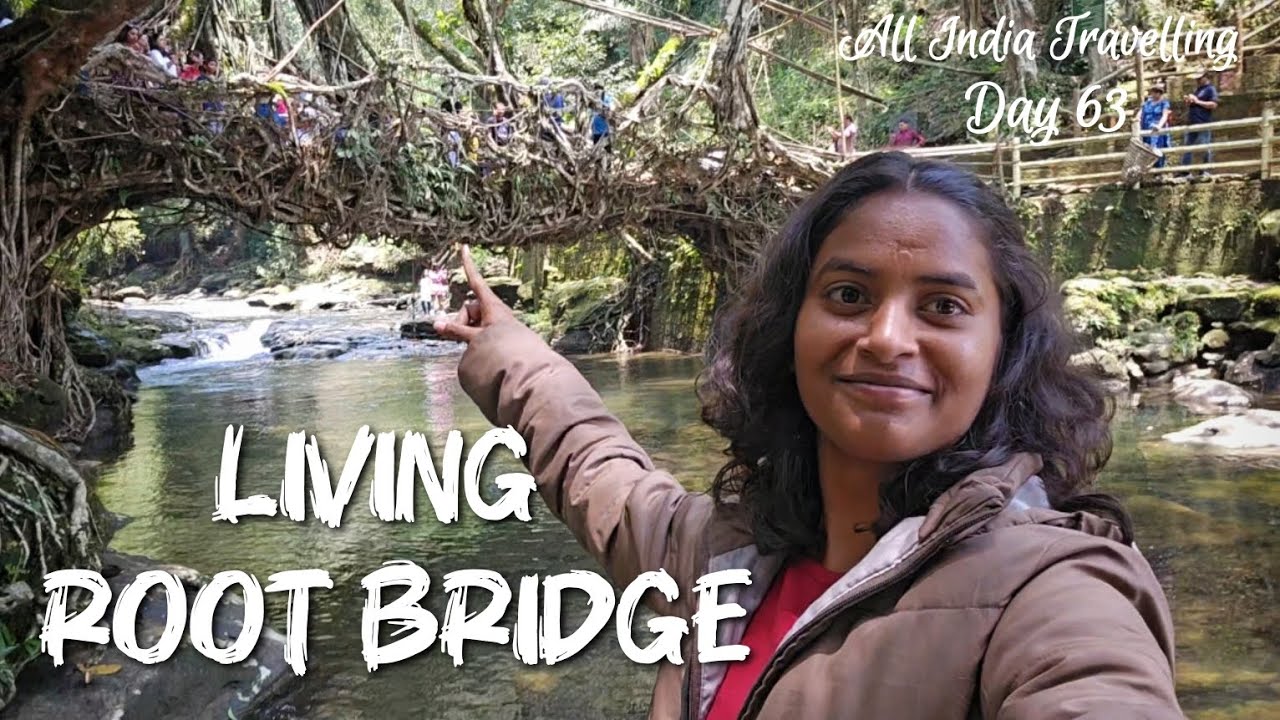 LIVING ROOT BRIDGE RIWAI VILLAGE Meghalaya All India Travelling Day 63 ...