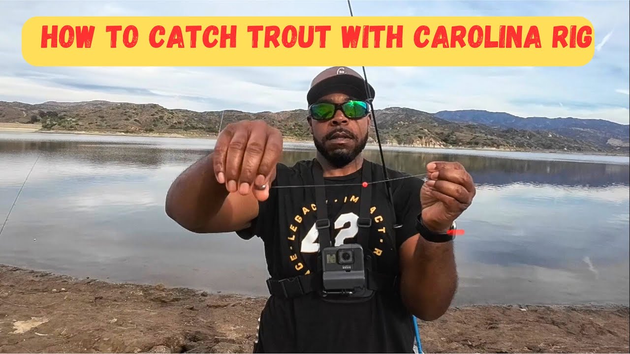 Lake Irvine Trout Fishing. ( How to setup a Carolina Rig for trout ...