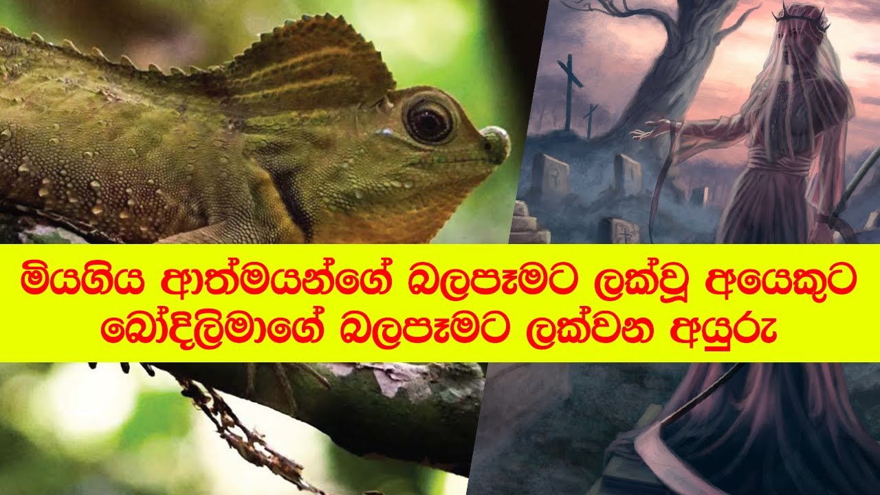 Bodilima and dead spirit effects explained by a patient to Doctor ...