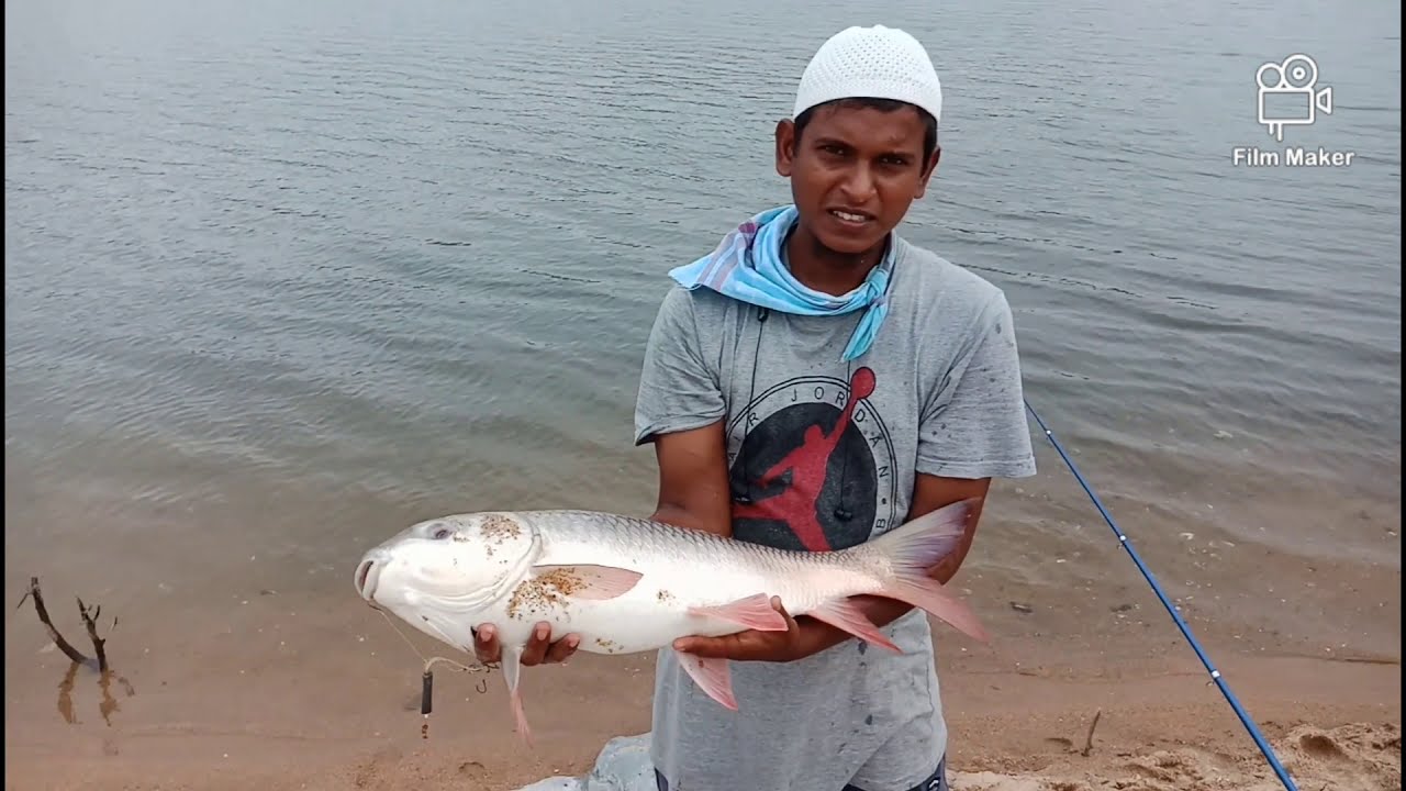 Fishing in Rain// 5kg Big Rohu fish🌧️🌧️☔🌩️//Tilapia fish// Black ROHU ...