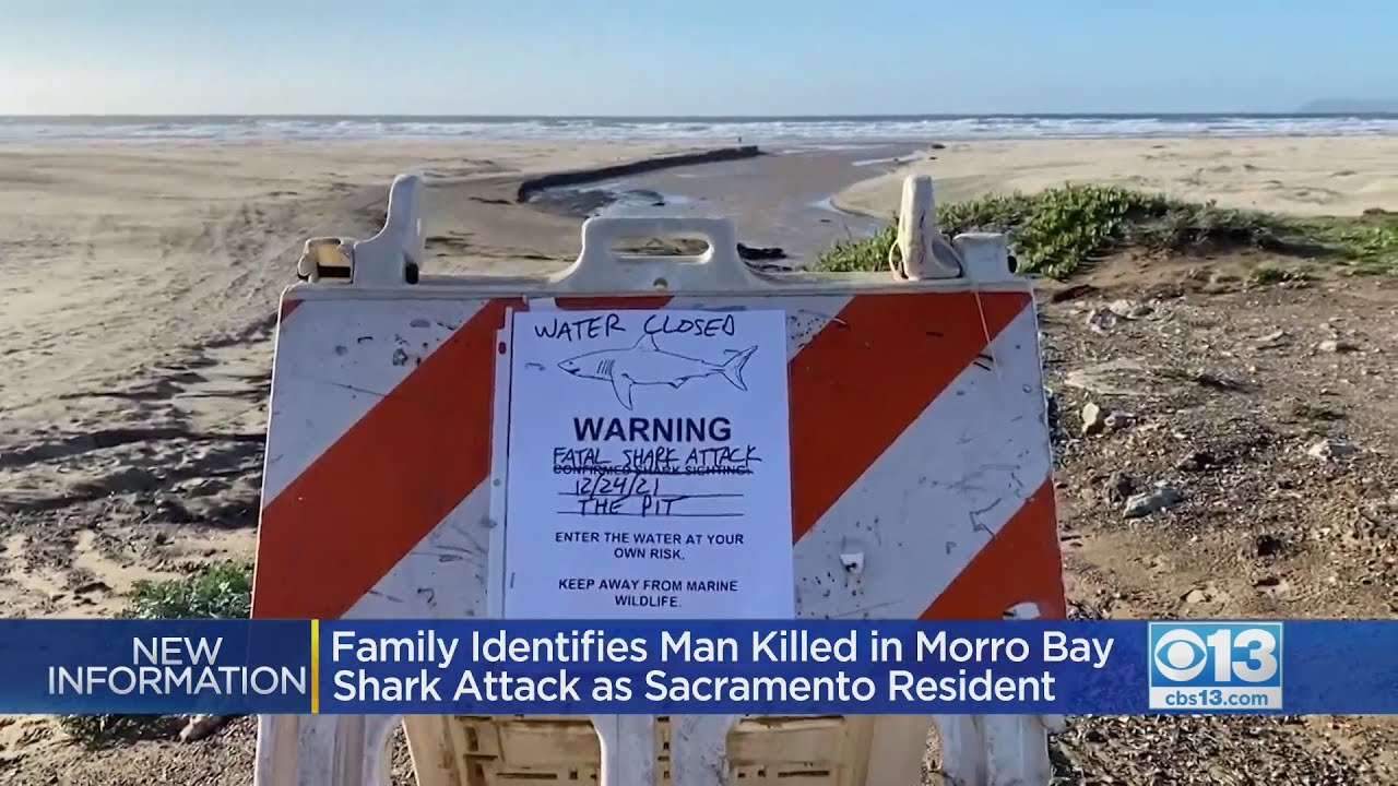 Family Identifies Man Killed In Morro Bay Shark Attack As Sacramento ...