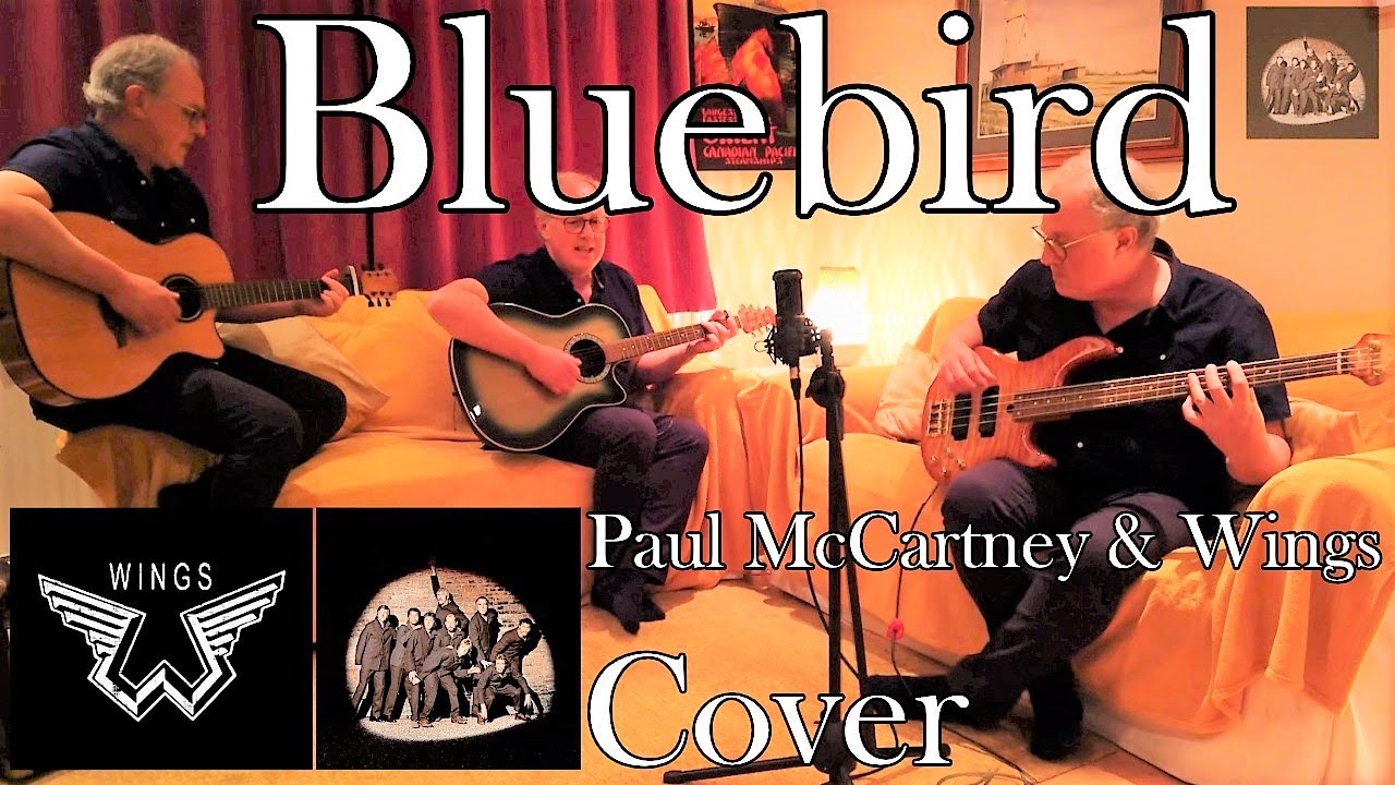 'Bluebird' Wings cover - YouTube